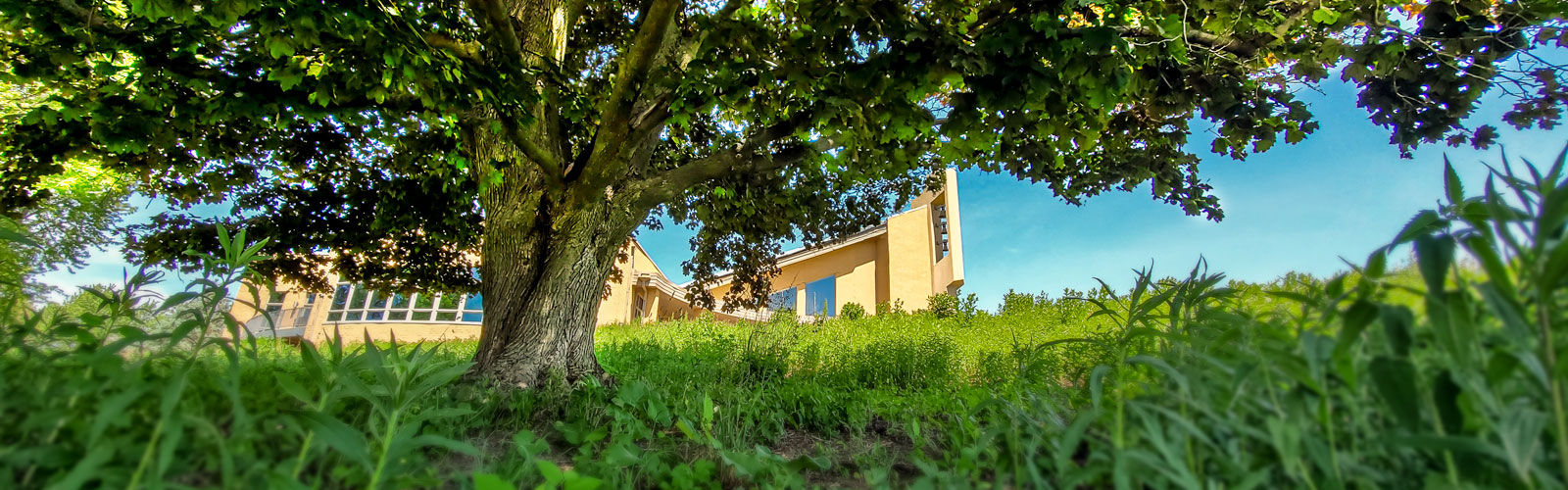 Stewardship - Holy Wisdom Monastery